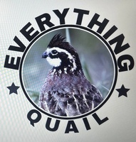 NPIP Certified Quail for Sale - Everything Quail Inc.